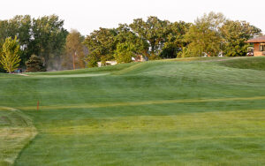 Course – Three Elms Golf